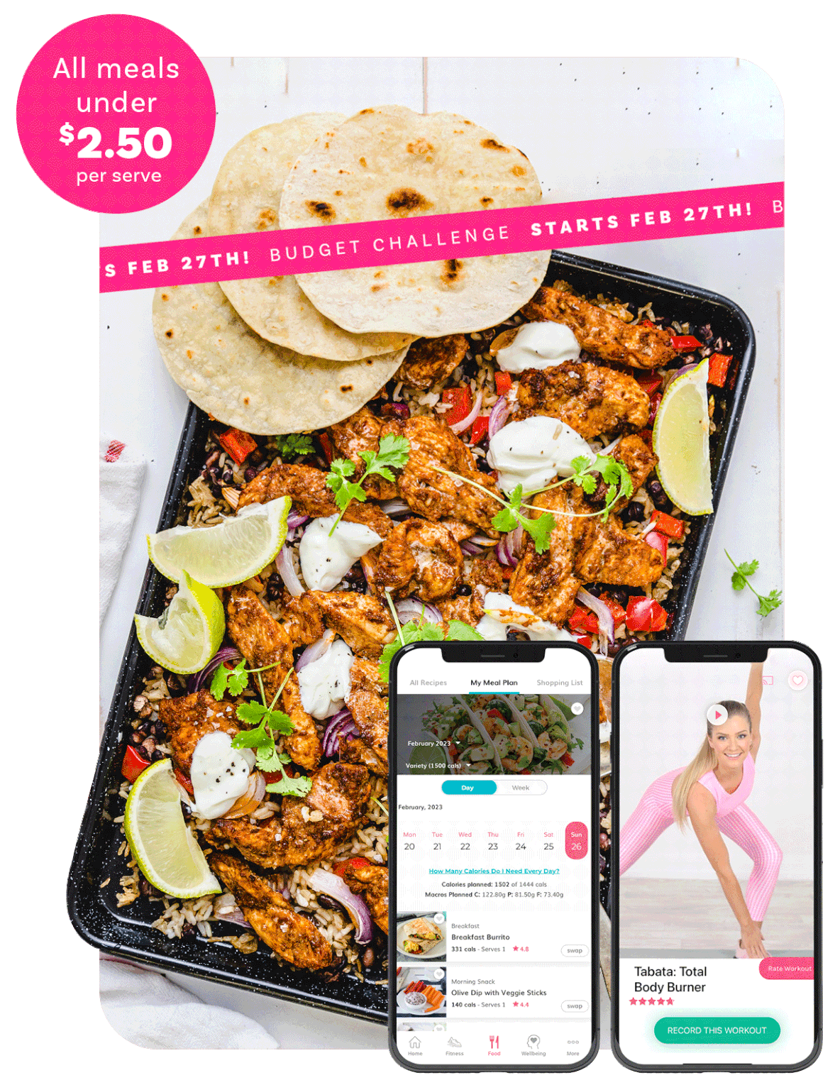 Healthy Weight Loss Products - The Healthy Mummy